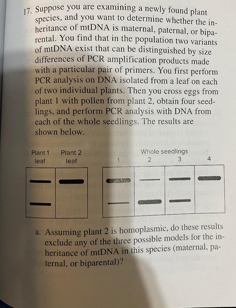 Solved 17. Suppose you are examining a newly found plant | Chegg.com Solved 17. Suppose you are examining a newly found plant | Chegg.com