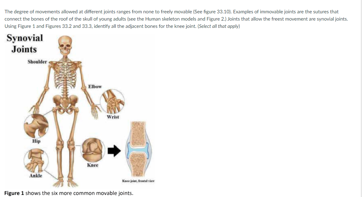 Solved The degree of movements allowed at different joints | Chegg.com