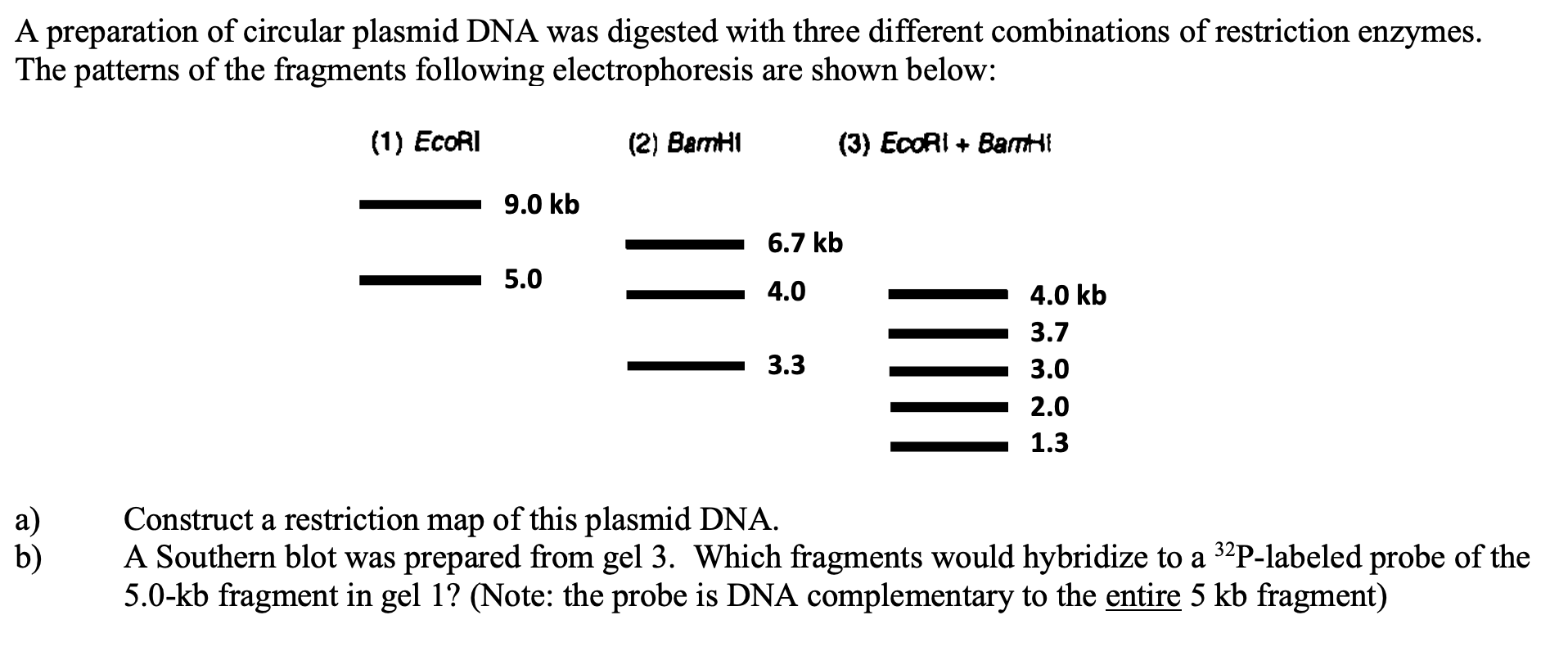 Solved A preparation of circular plasmid DNA was digested | Chegg.com