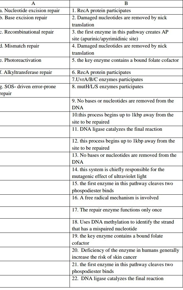 Solved On the left column in the picture - DNA repair | Chegg.com