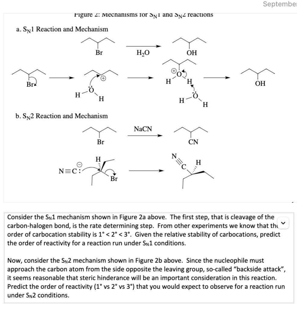Solved a. SN1 Reaction and Mechanism b. SN2 Reaction and | Chegg.com
