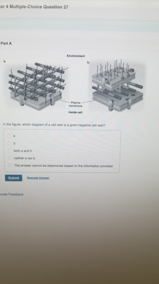 Solved er 4 Multiple-Choice Question 27 Part A Environment | Chegg.com