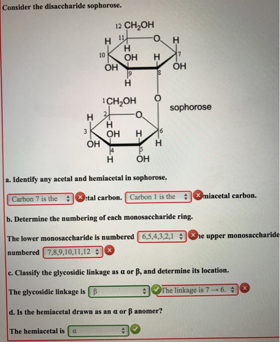 Solved Consider the disaccharide sophorose. 12 CH2OH | Chegg.com