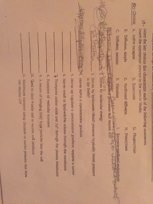 Solved o. Selecr the key choices that characterize each of | Chegg.com