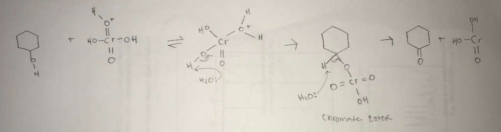 Cyclohexanone Oxidation