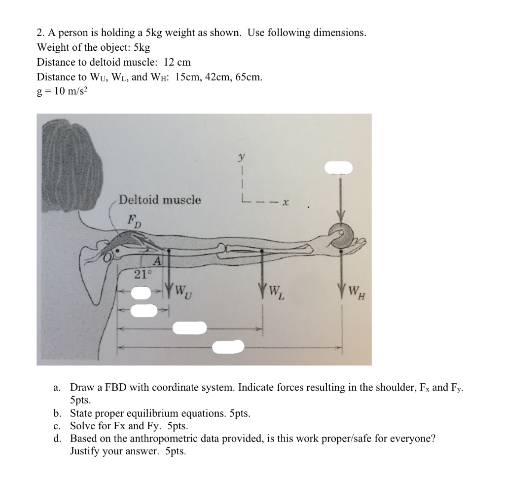 Solved 2. A person is holding a 5kg weight as shown. Use | Chegg.com