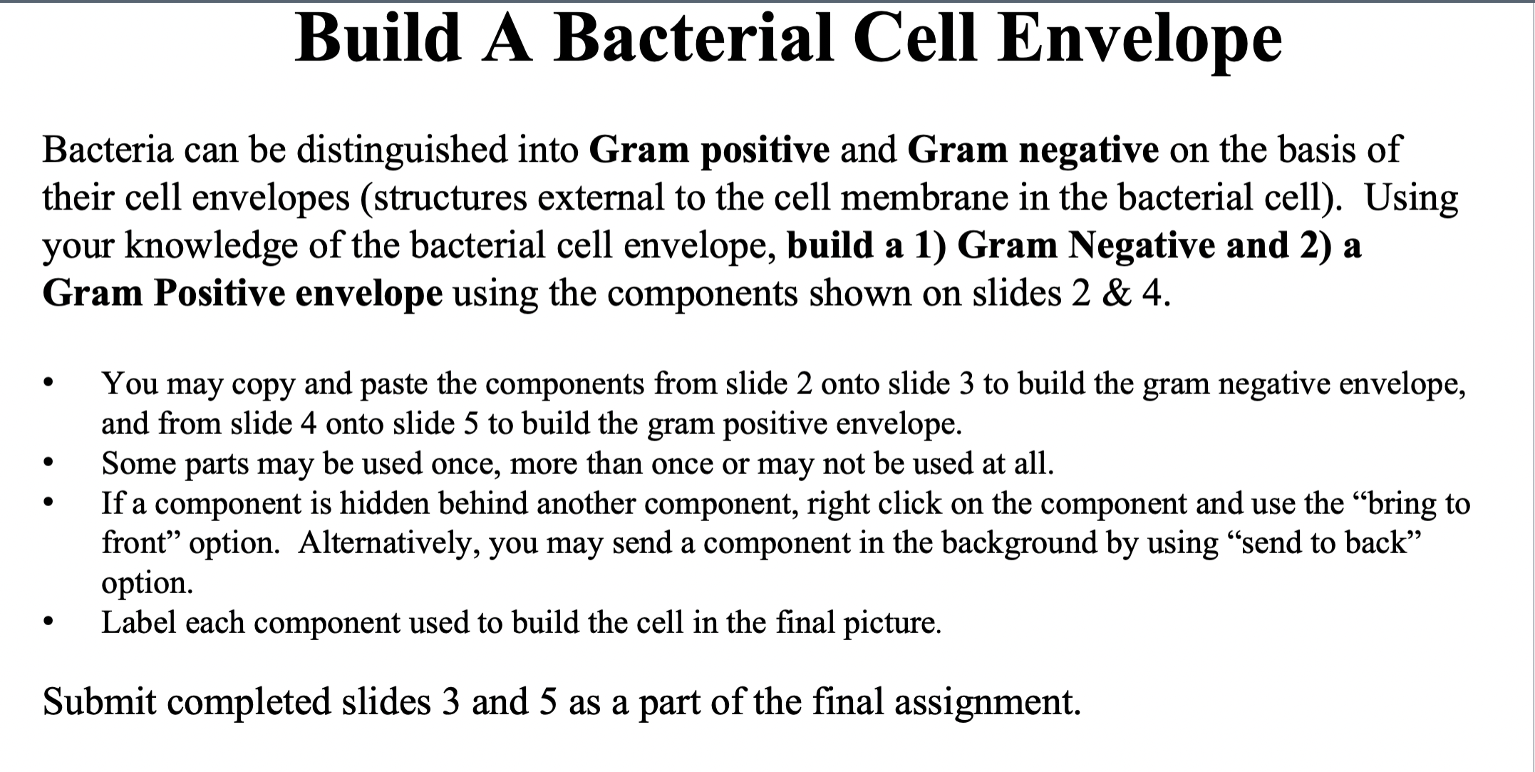 buila A Bacterial Cell Envelope Bacteria can be | Chegg.com