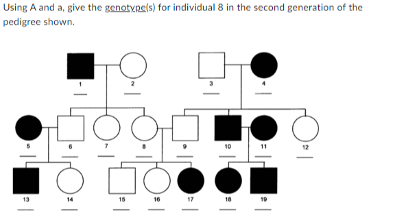 Solved Using A and a, give the genotype(s) for individual 8 | Chegg.com
