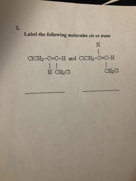 Solved Benzene Hexane Decane Heptane Octane 2. Label the | Chegg.com