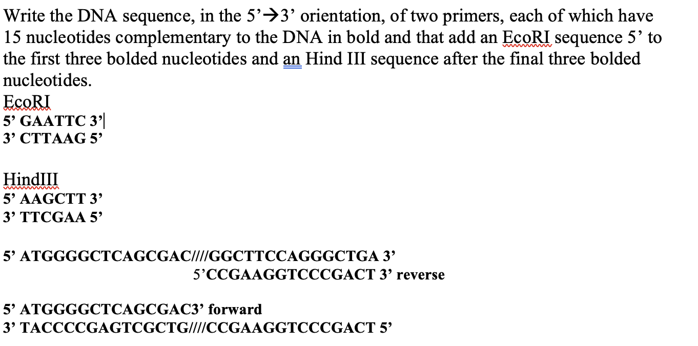 Solved Add the ecori and hindiii to the primers already made | Chegg.com