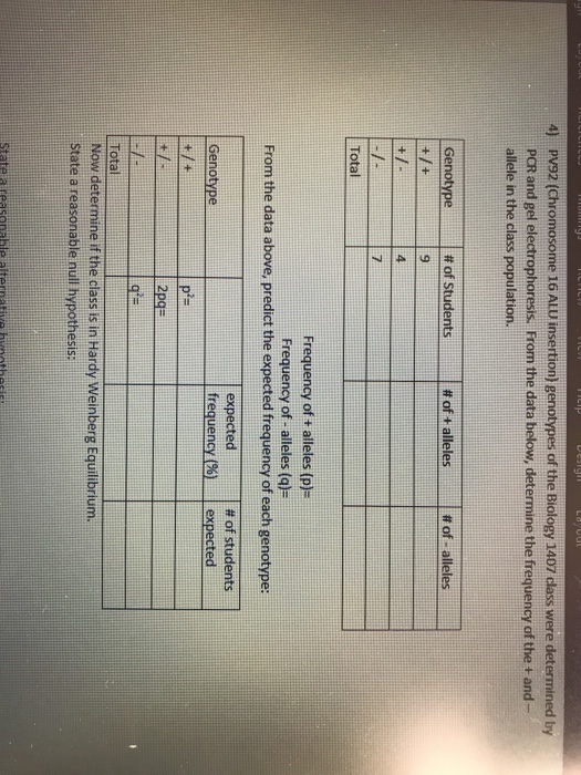 Solved PV92 (Chromosome 16 ALU insertion) genotypes of the | Chegg.com