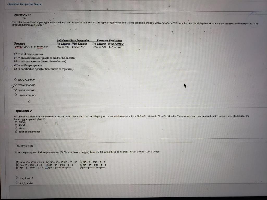 Question Completion Status: QUESTION 20 The table | Chegg.com
