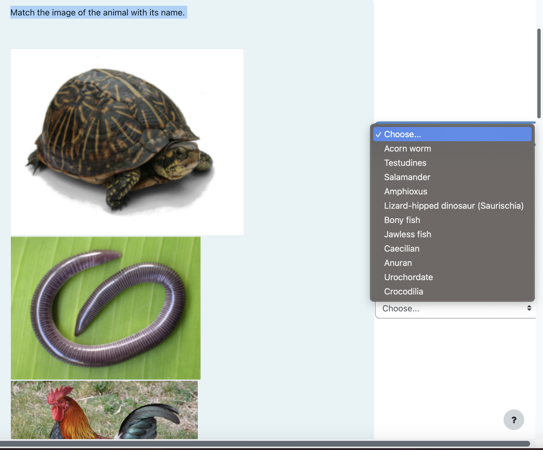 Solved Match the image of the animal with its name. | Chegg.com