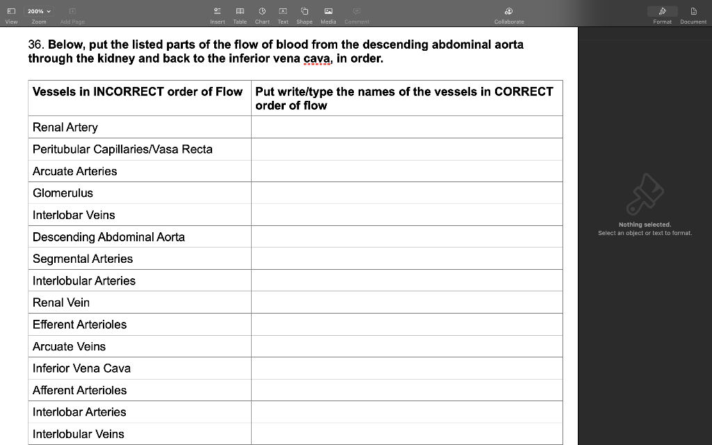 Solved 200% Zoom View Insert Table Chart Text Shape Media | Chegg.com
