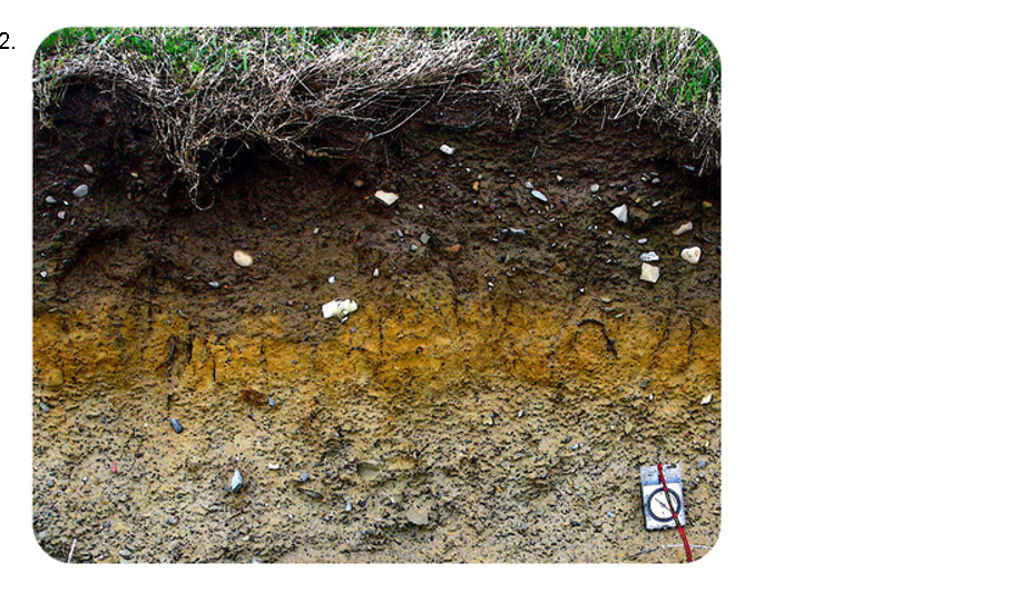 Solved For the following soil profile images, label the | Chegg.com