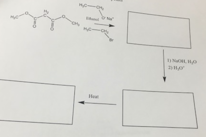 Solved 1) NaOH,H2O 2) H3O+ | Chegg.com