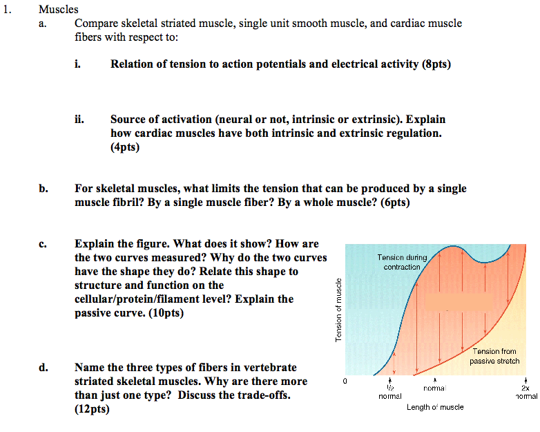 Solved Compare skeletal striated muscle, single unit smooth | Chegg.com