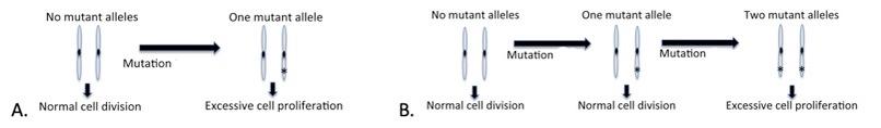 Solved 1. The diagrams (A and B) below represent the two | Chegg.com