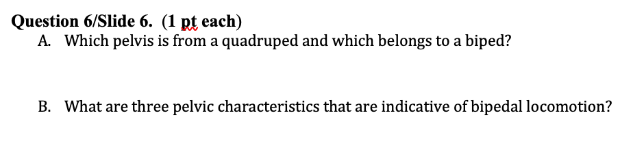 Solved Question 4/Slide 4. (1 pt each) A. The image below | Chegg.com