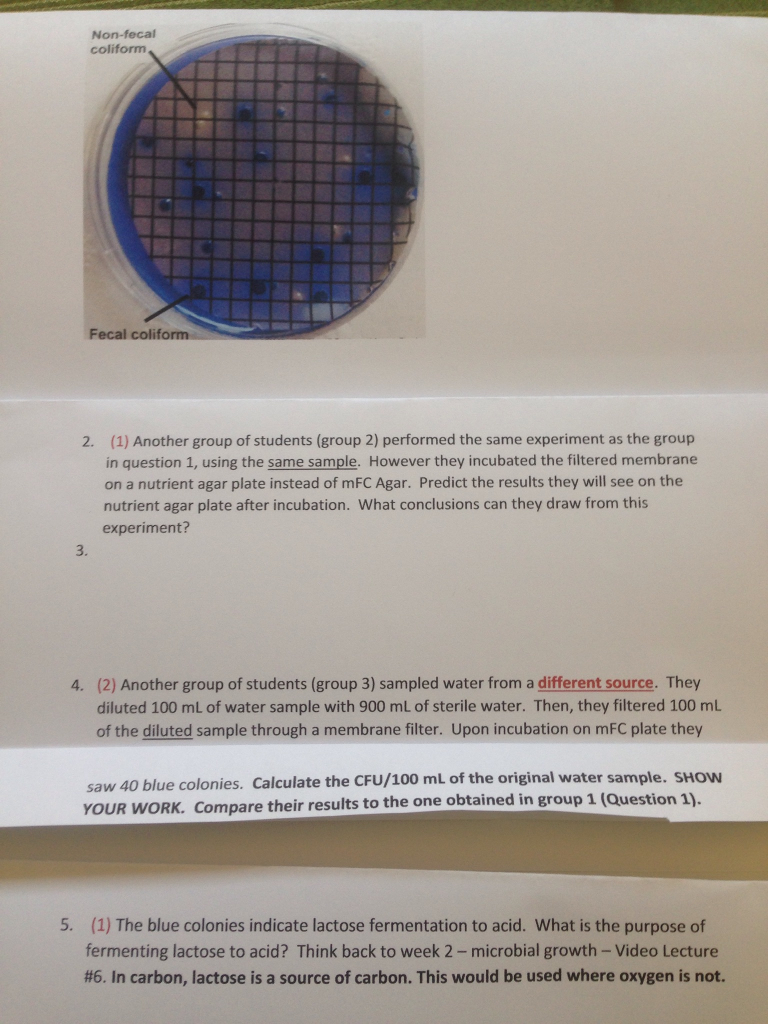 Solved Non-fecal coliform Fecal coliform (1) Another group | Chegg.com