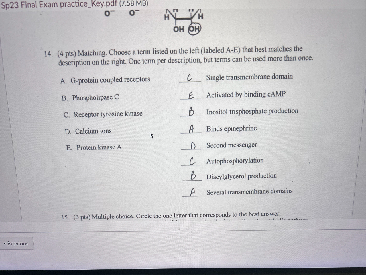 Solved ASAP pleaseee S(4 ﻿pts) ﻿Matching. Choose a term | Chegg.com