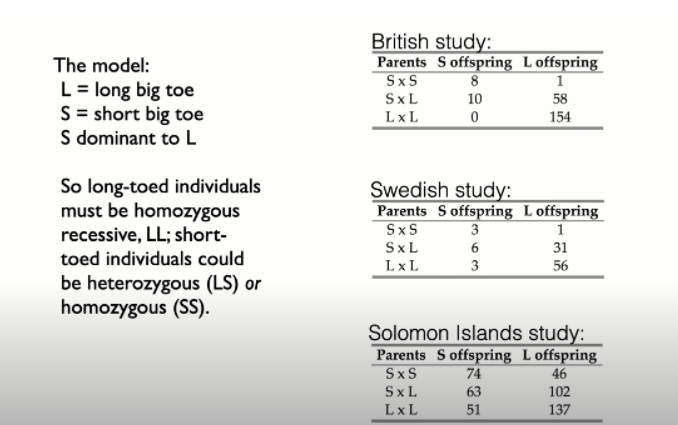 Solved Toe length is more difficult than just a plain | Chegg.com
