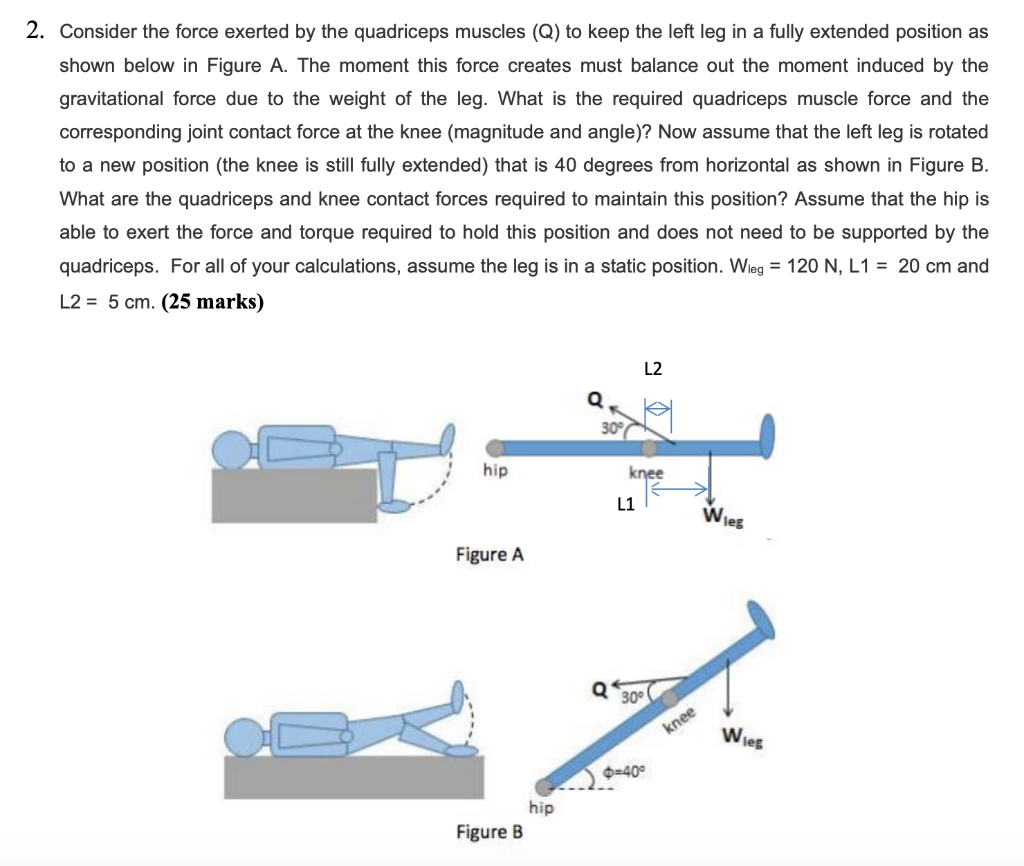 Solved 2. Consider the force exerted by the quadriceps | Chegg.com