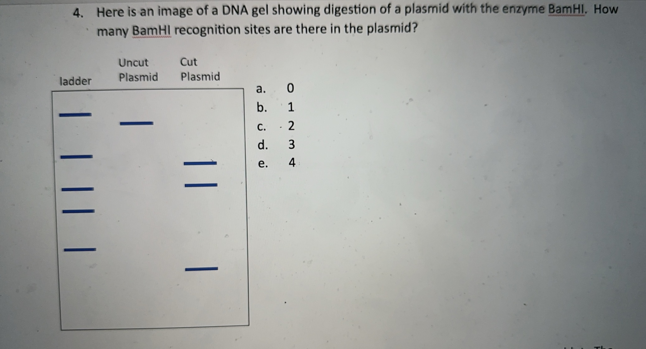 Solved 4. Here is an image of a DNA gel showing digestion of | Chegg.com