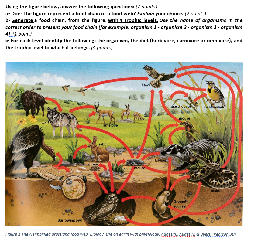 Solved Using the figure below, answer the following | Chegg.com