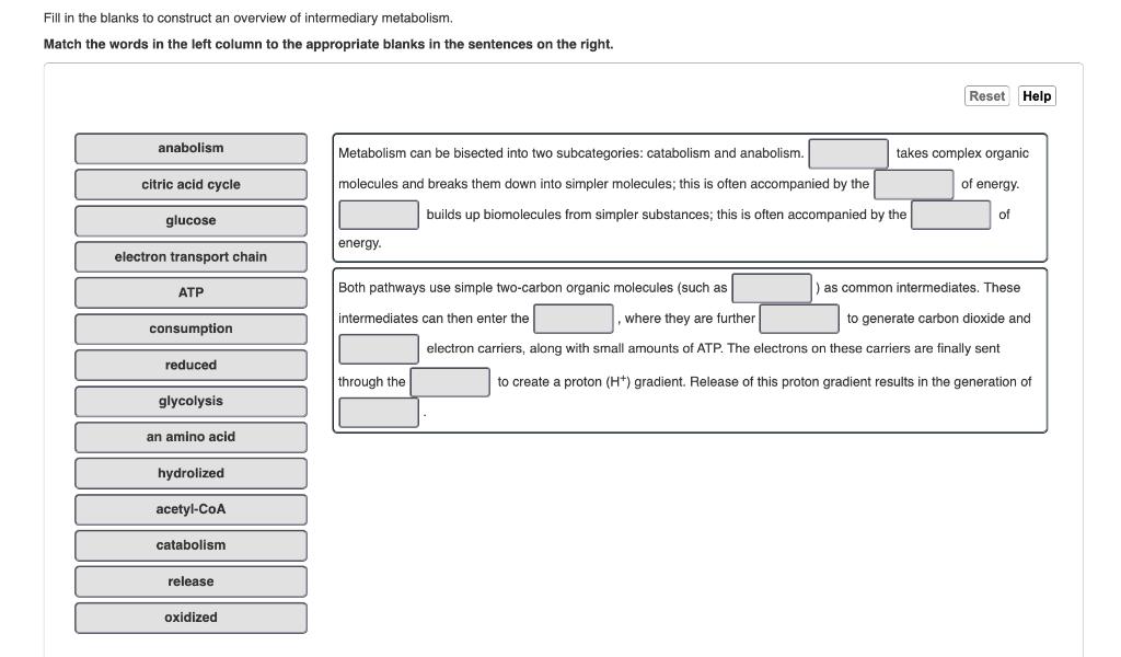 Solved Fill in the blanks to construct an overview of | Chegg.com