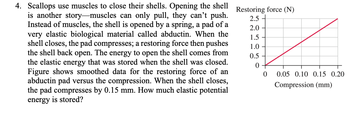 Solved 4. Scallops use muscles to close their shells. | Chegg.com