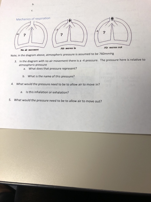 Solved b. Mechanics of respiration Air moves out Air moves | Chegg.com