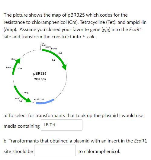 Solved The picture shows the map of PBR325 which codes for | Chegg.com