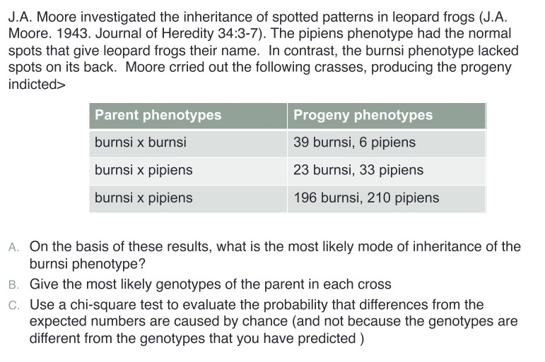 Solved J.A. Moore investigated the inheritance of spotted | Chegg.com