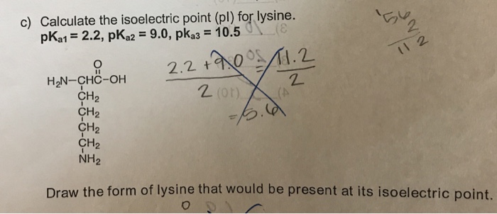 Solved Calculate the isoelectric point for lysine. Draw the | Chegg.com