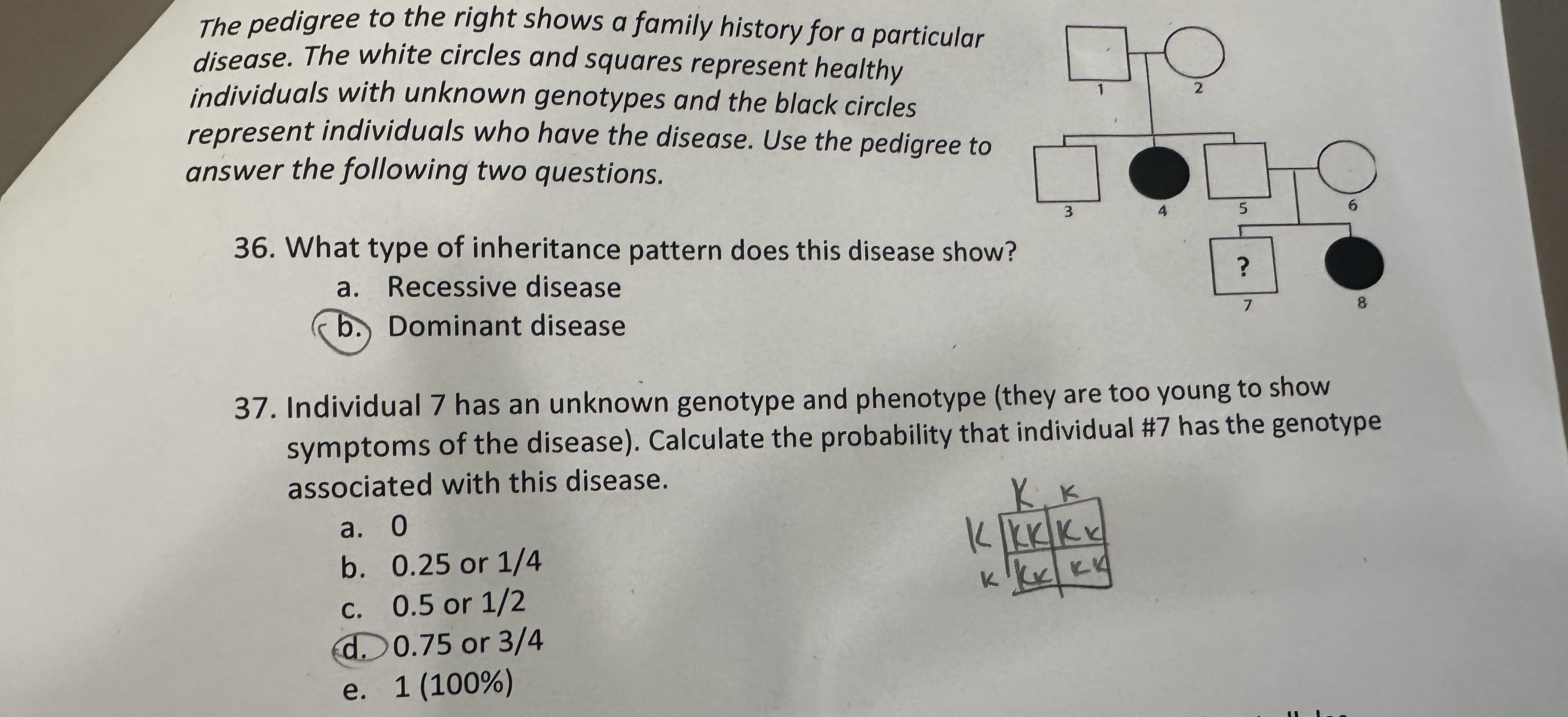 Solved What are the correct answers for both 36 and 37? why | Chegg.com