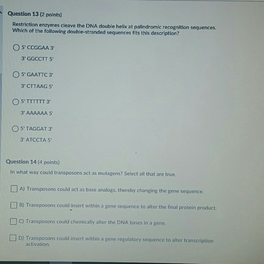 Solved Question 13 (2 points) Restriction enzymes cleave the | Chegg.com