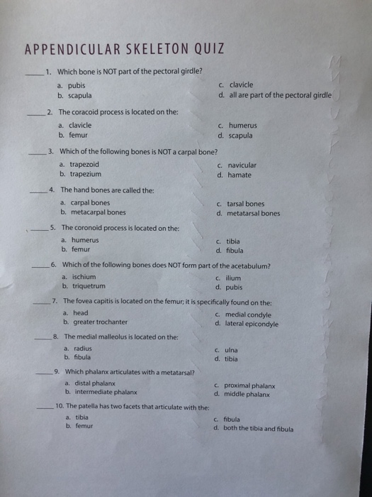Solved APPENDICULAR SKELETON QUIZ 1 Which Bone Is NOT Part Chegg