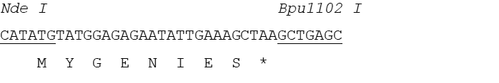 Solved Figure 1: Vector map of pET-11a to d cloning | Chegg.com