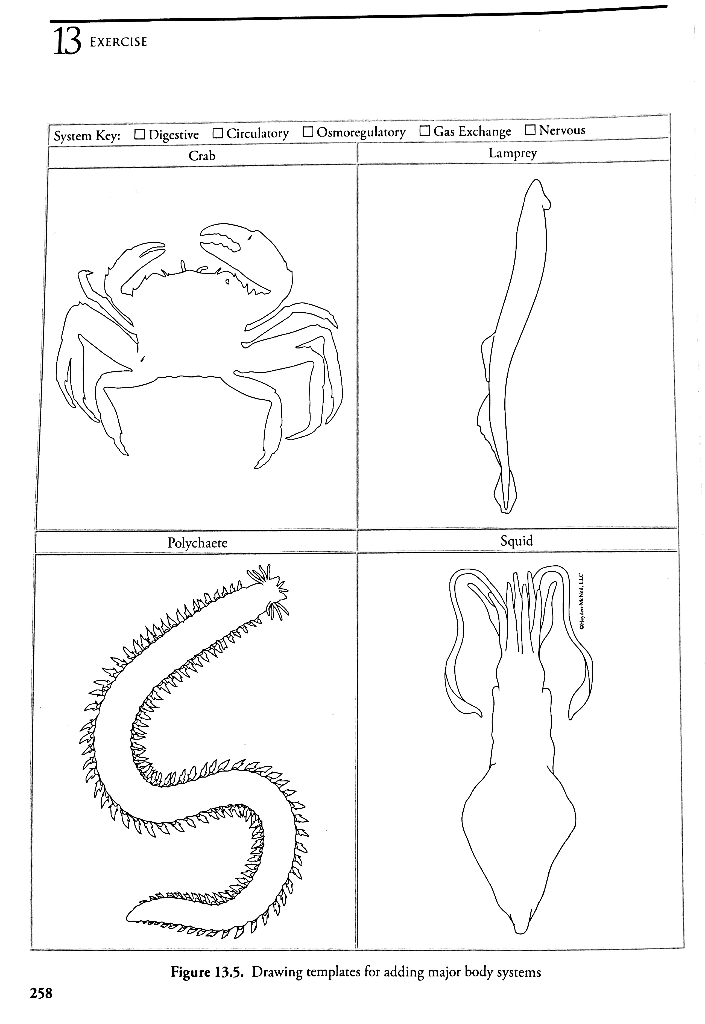 Solved Table 13.1: Character state matrix for dissected | Chegg.com