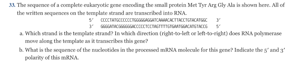 Solved 33. The sequence of a complete eukaryotic gene | Chegg.com