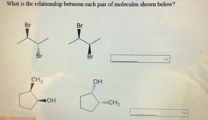 Solved What is the relationship between each pair of | Chegg.com