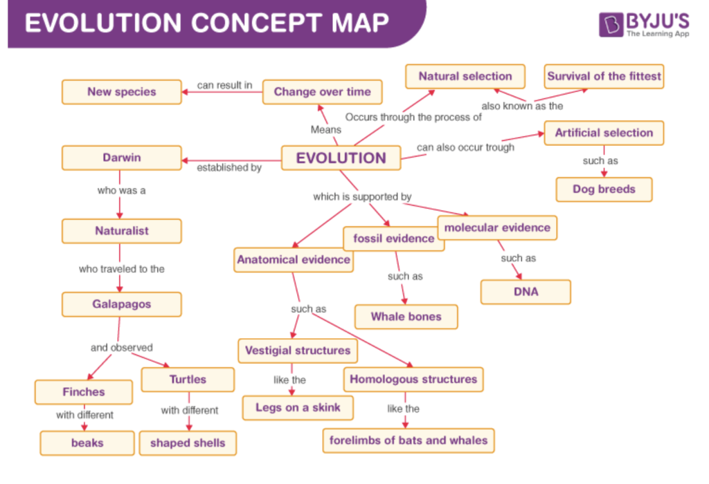 Solved PART 1: Download the Activity Metapopulation Concept | Chegg.com