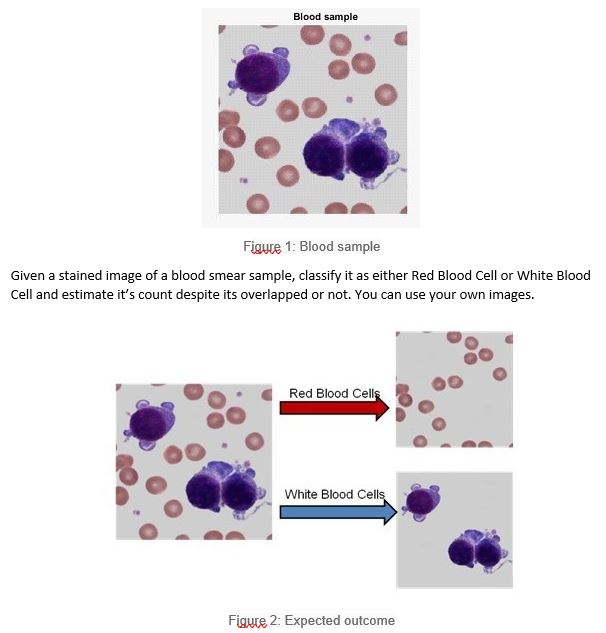 Use Matlab tools (i.e image segmentation,etc) to | Chegg.com