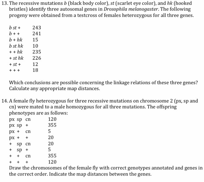 Solved 13 The Recessive Mutations B Black Body Color St