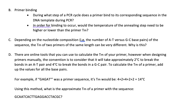 Solved B. ﻿Primer bindingDuring what step of a PCR cycle | Chegg.com