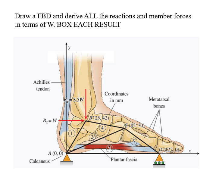 Solved Draw a FBD and derive ALL the reactions and member | Chegg.com