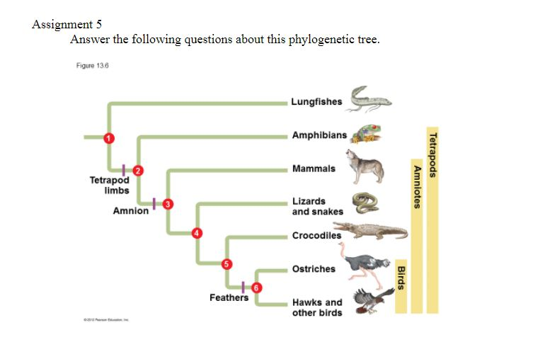 Assignment 5 Answer the following questions about | Chegg.com