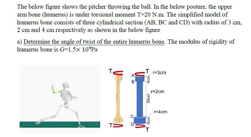 Solved The below figure shows the pitcher throwing the ball. | Chegg.com