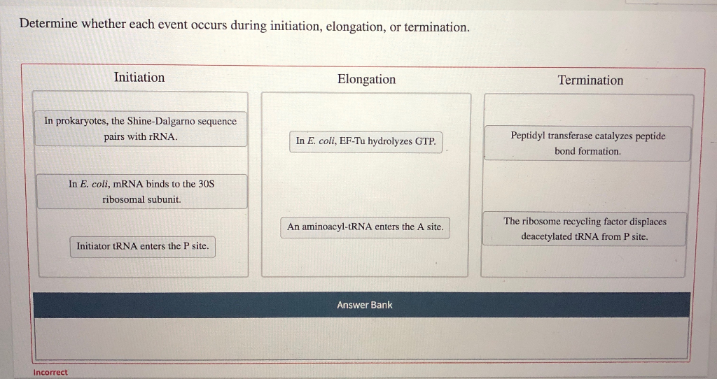 Solved Determine whether each event occurs during | Chegg.com